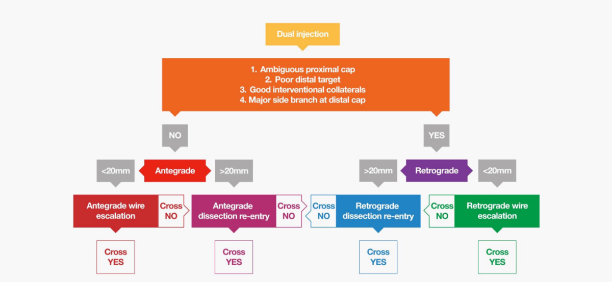 An introduction to CTO for fellows - British Cardiovascular ...