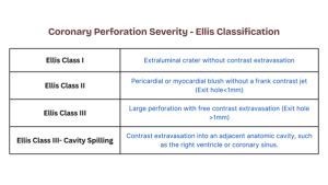 Lessons from the Lab: A Fellow’s Experience with Coronary Perforation ...